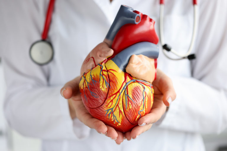 Cardiologists & Cardiac Services | South Denver Cardiology